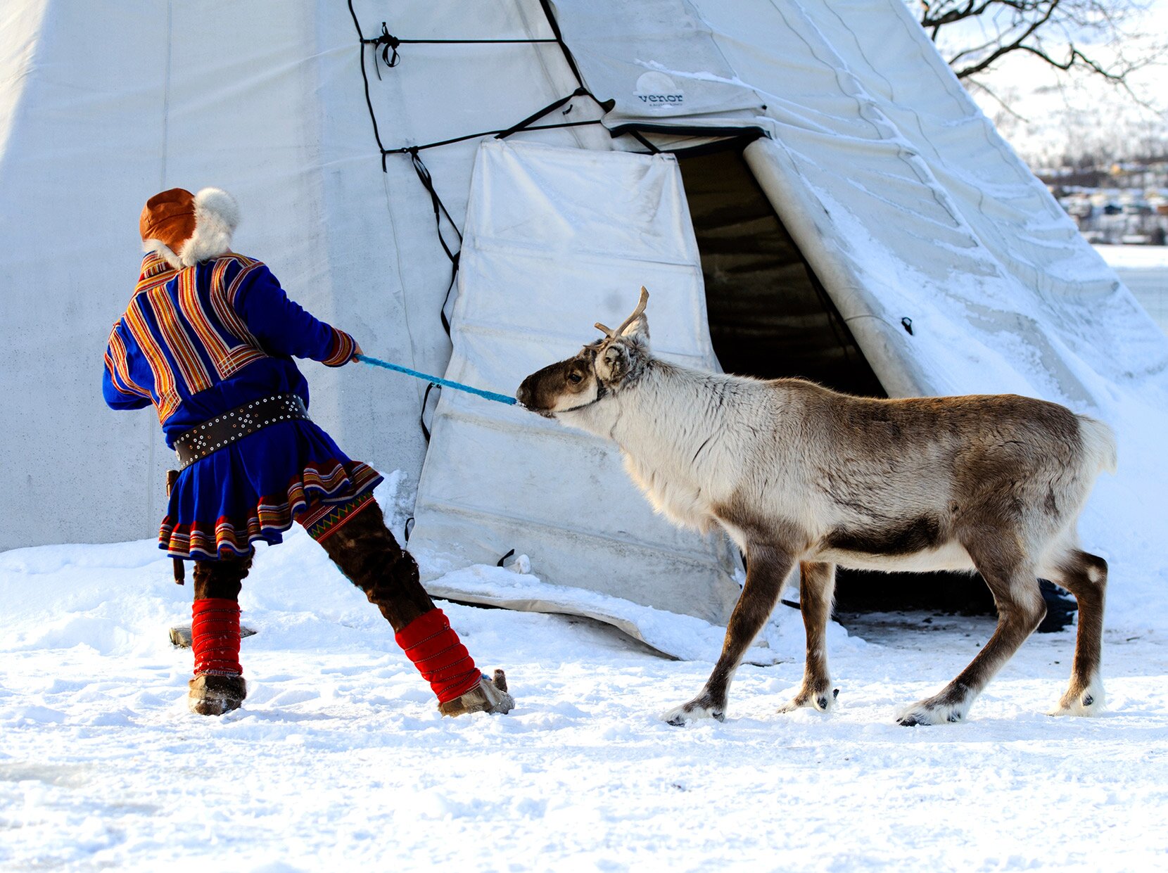 Samisk matkultur og fiskeretter | Fiskesprell - Fiskesprell